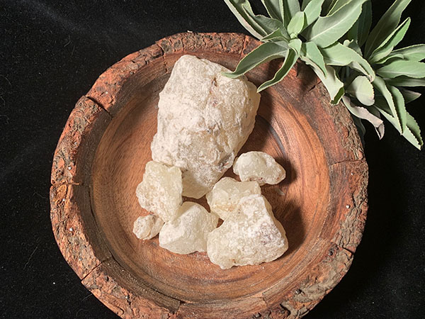 Copal Blanco - Bursera Bipinnata - Mexico 1 oz. - Mermade Magickal Arts